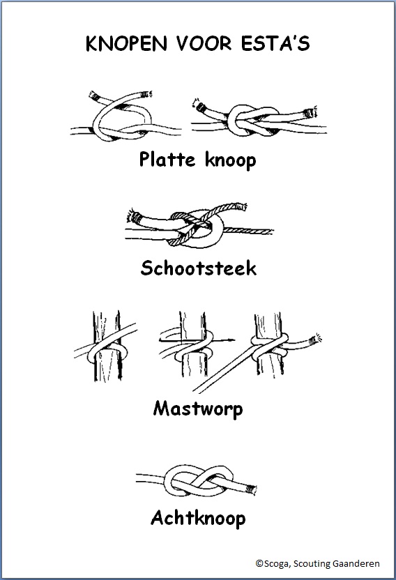 Vaardigheden Welpen | Scoga, Scouting Gaanderen